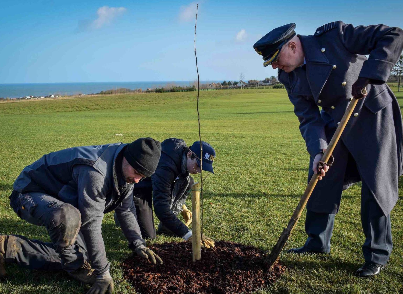 The Queen Elizabeth II Avenue: Tree Planting – British Normandy Memorial